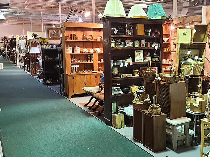 Aisles that seem to stretch into infinity, each turn promising new discoveries. The green carpet has guided countless treasure hunters.