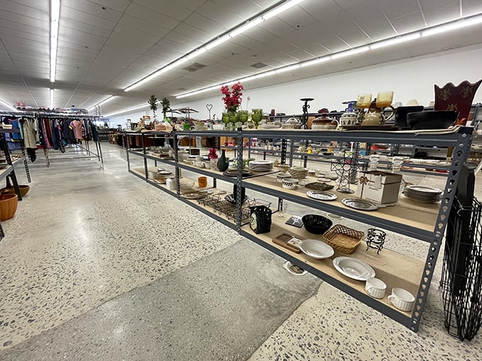 Shelves stretching toward infinity, each holding someone's past ready to become your future. Marie Kondo's nightmare, bargain hunter's paradise.