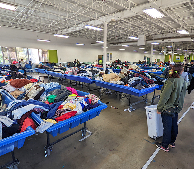 Blue bins as far as the eye can see&mdash;the thrifter's version of an all-you-can-eat buffet where patience yields the sweetest rewards.