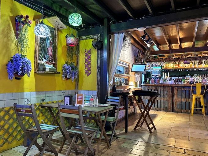 Sunshine captured indoors! The vibrant yellow walls and hanging blue plants create a fiesta atmosphere that's as warm as the welcome you'll receive.