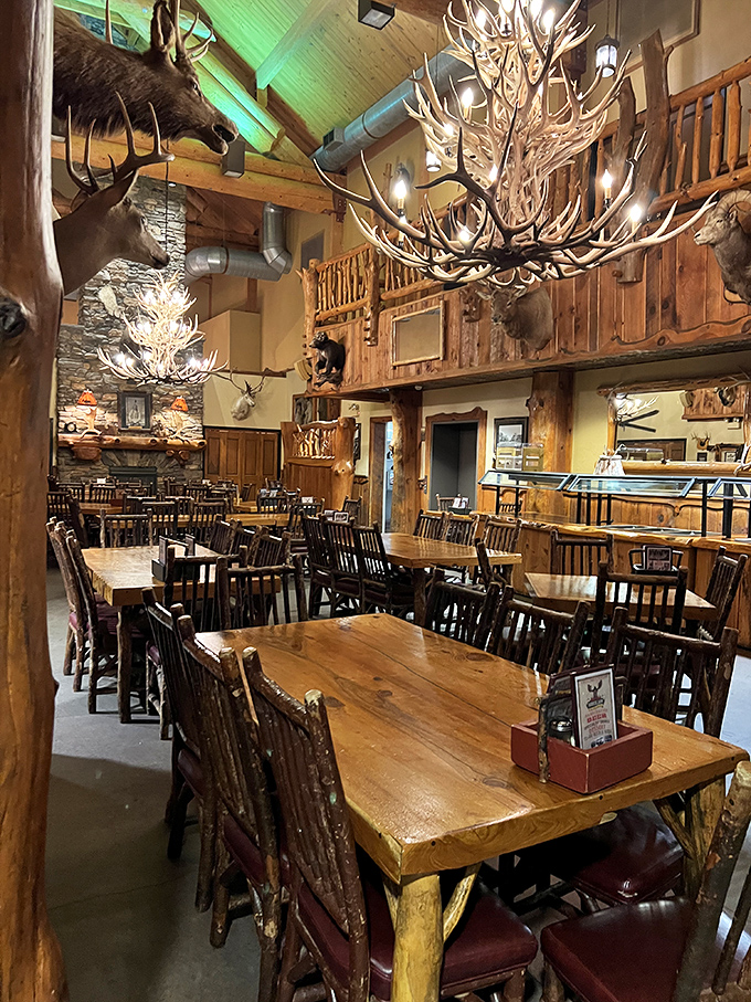 Antler chandeliers that would make Gaston jealous illuminate a dining room where taxidermy meets taste. Rustic luxury at its finest.