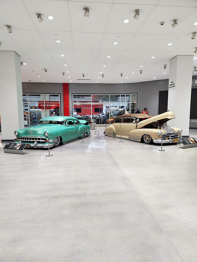 Classic American beauties bask under perfect lighting. That turquoise stunner would've been my prom date if I'd been born in 1955.