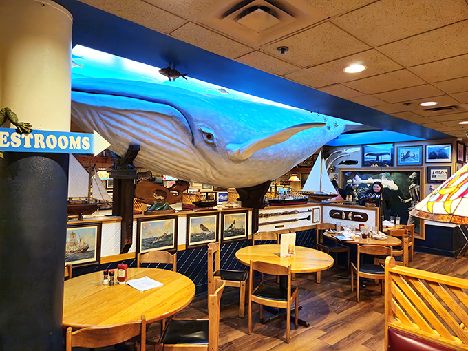 Dining under a whale in Pennsylvania? At Cooper's, the massive blue cetacean suspended from the ceiling watches over your seafood feast.