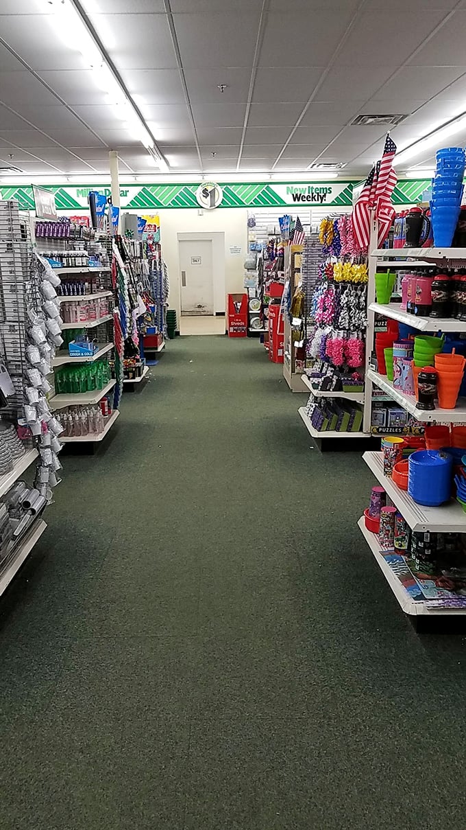 Aisles of possibility stretch before you, where everyday necessities mingle with impulse buys you never knew you needed.