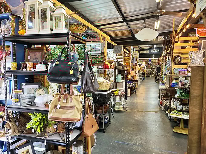 Treasure hunters navigate aisles packed with history. Every turn reveals another decade's worth of memories waiting to be adopted.