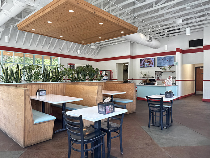 Sunlight streams through large windows, illuminating wooden booths and a ceiling that feels more "hip local hangout" than "fast food joint."