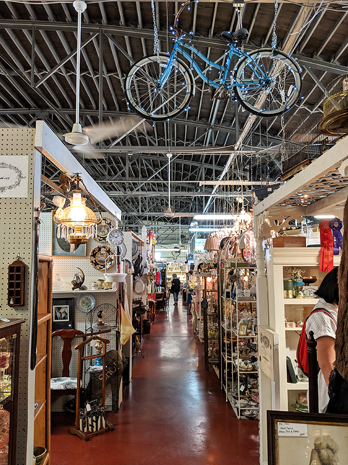 Narrow aisles stretch like roads on a map with no destination, each promising discoveries that would make Indiana Jones jealous.