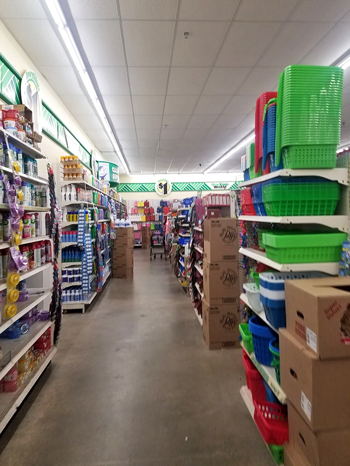 Wide, well-organized aisles invite exploration – it's like a treasure hunt where X always marks the bargain spot.