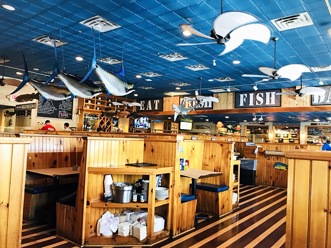 Wooden booths beneath a flotilla of marlins create that perfect "I'm definitely getting seafood tonight" atmosphere you've been craving.