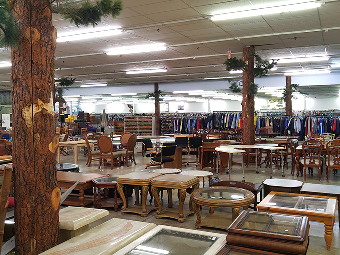 Tree trunks doubling as support columns create a rustic Ozark atmosphere, like shopping inside a carefully curated forest of furniture finds.