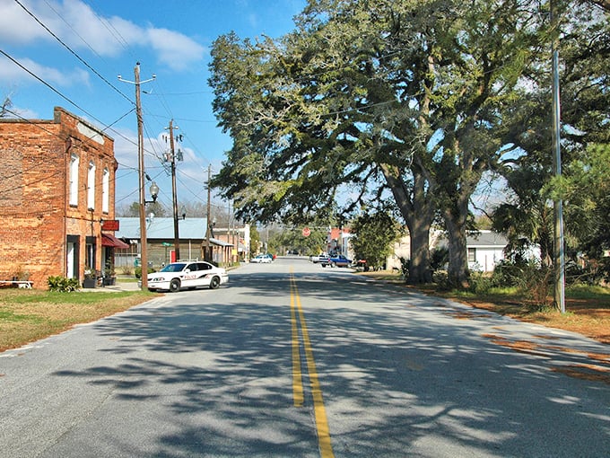 That magnificent oak tree isn't just providing shade&mdash;it's telling stories of generations who've walked beneath its sprawling branches on this quintessential Southern street.