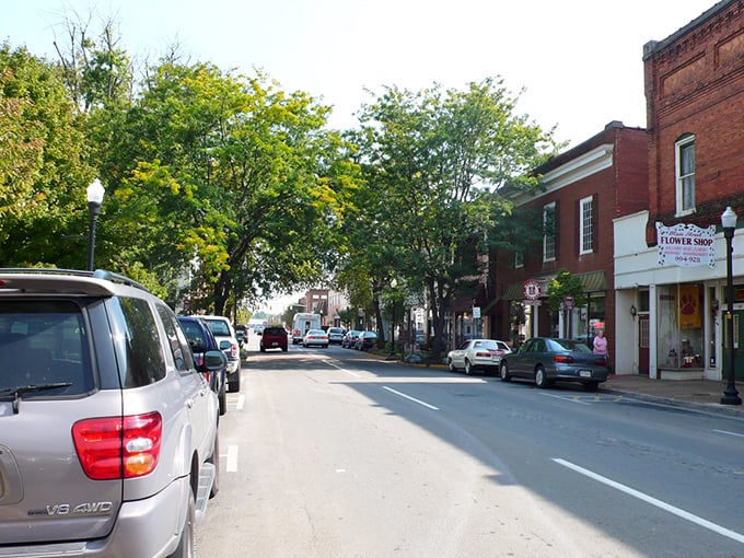 Sunlight dapples through mature trees along Pulaski's inviting Main Street, where local shops and businesses maintain the town's historic character.