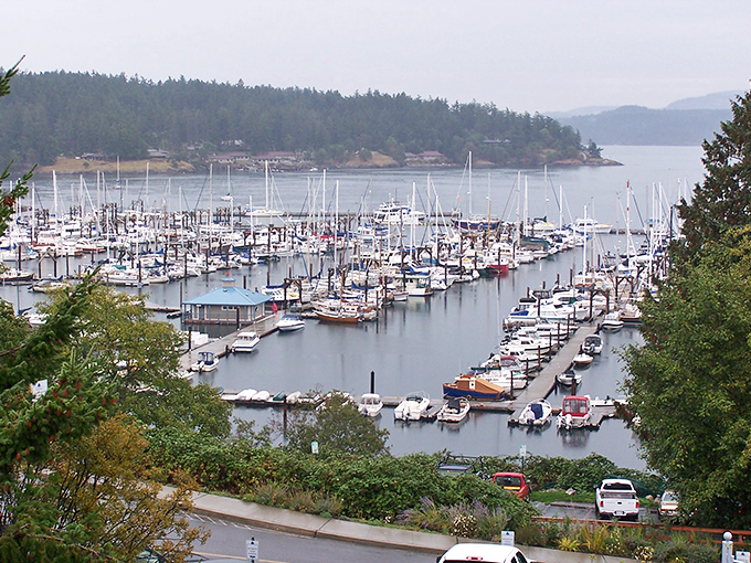 Not just a marina, but a floating neighborhood where boats worth more than my first house bob gently in Friday Harbor's protected waters.