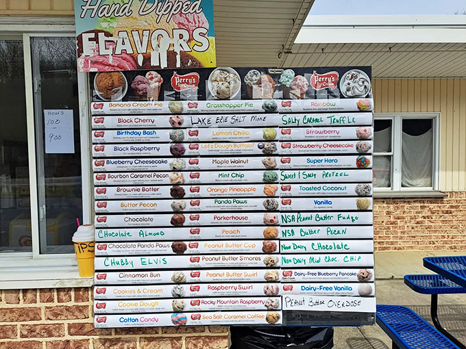 Flavor indecision reaches clinical levels here. With options like "Chunky Elvis" and "Lake Erie Salt Mine," choosing just one feels like Sophie's Choice: Dessert Edition.
