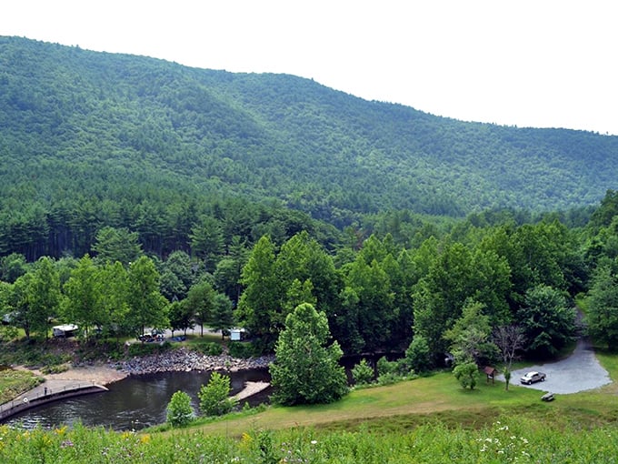 Mother Nature showing off her curves where forest meets water. Pennsylvania's mountains have that "I woke up like this" effortless beauty.