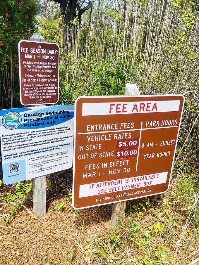 The price of paradise is surprisingly reasonable. Consider it nature's cover charge for one of Delaware's most pristine beach experiences.