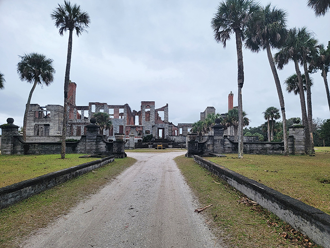 The grand entrance feels like time travel—palm trees standing sentinel as you approach what was once America's coastal Downton Abbey.