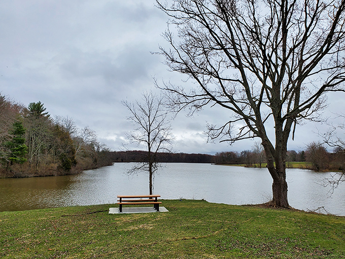 Solitude served with a view. This lakeside bench isn't just furniture&mdash;it's front-row seating to nature's most peaceful performance, no tickets required.