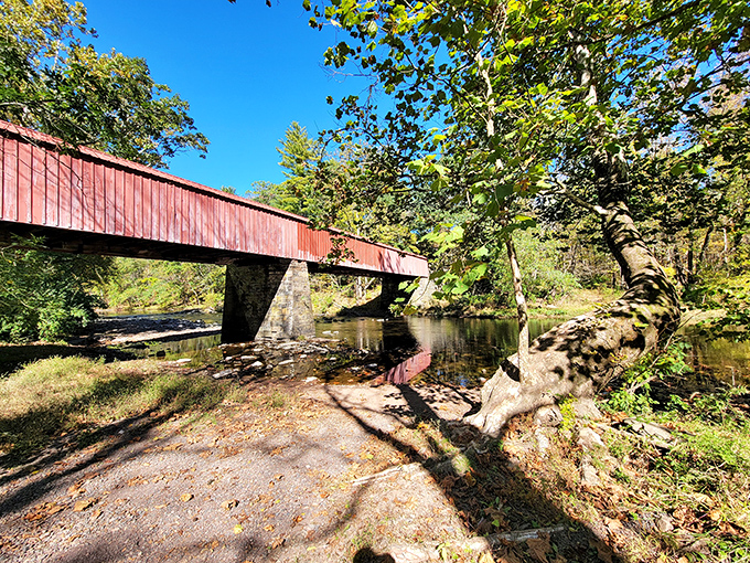 Nature's perfect postcard: sunlight dances on the water beneath the rustic covered bridge, creating a scene that belongs on Pennsylvania tourism brochures.