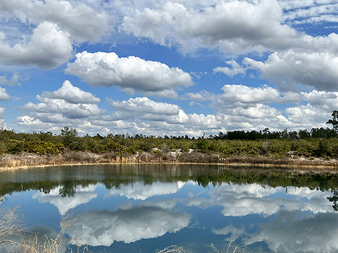 Mirror, mirror on the lake &ndash; Florida clouds staging their daily beauty pageant in Sheelar Lake's reflective waters.