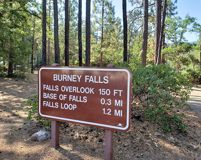 "Only 0.3 miles to paradise?" This sign promises a short journey to natural splendor, proving that sometimes the best things in life actually don't require much effort.