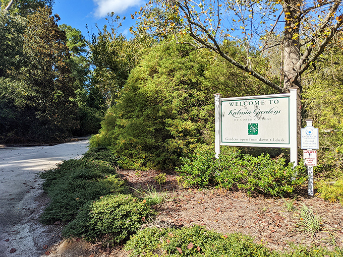 "Gardens open dawn till dusk" &ndash; nature's version of an all-day buffet where the only reservation needed is your sense of wonder.