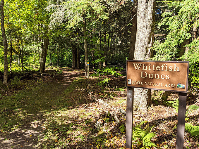 Nature's welcome sign stands sentinel at the trailhead. The journey through Whitefish Dunes begins here, promising adventures through one of Wisconsin's most precious natural treasures.