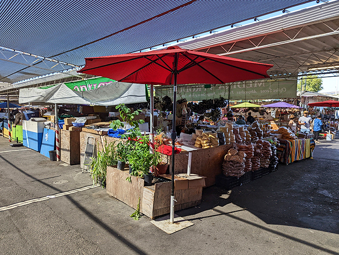 The organized chaos of flea market life unfolds in colorful displays that would make Marie Kondo dizzy.