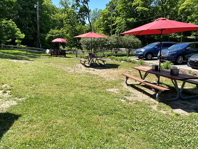 Red umbrellas dot the landscape like cherry tops on ice cream, offering shady respite for visitors enjoying their barrel-side treats.