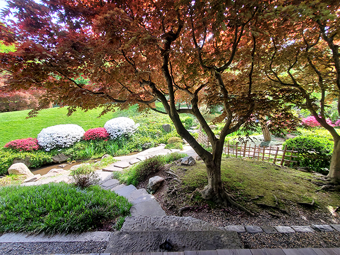 Nature's color palette goes wild here, with Japanese maples creating a crimson canopy over meticulously placed stones and flowering shrubs.