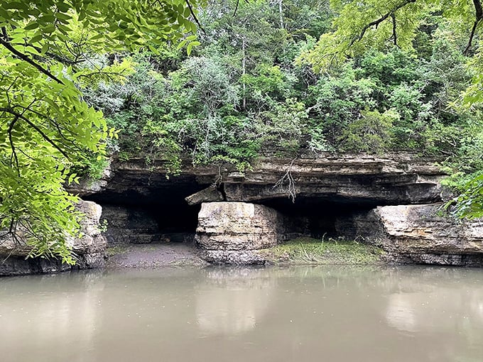 Nature's own architectural marvel, these limestone caves along Yellow Creek offer a cool respite that's both literally and figuratively underground. No admission fee required!