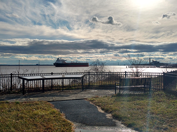 Front-row seats to Delaware's greatest show: massive ships gliding by like gentle giants against a sky that can't decide if it's putting on a drama or a watercolor exhibition.