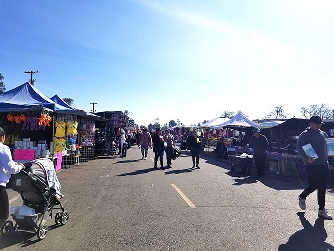 The modern-day silk road stretches before you, lined with canopies of every color and vendors ready to share stories behind their wares.