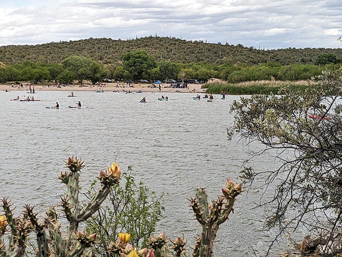 Nature's ultimate compromise &ndash; cactus-studded hills overlooking refreshing waters where desert dwellers cool off. Like finding an oasis after watching all seven seasons of "Alone."