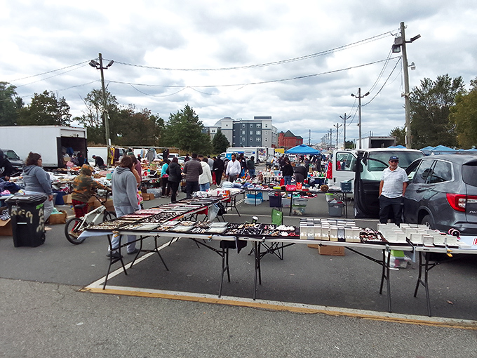Avenel's outdoor wonderland spreads across the pavement like a garage sale that got wonderfully out of hand.