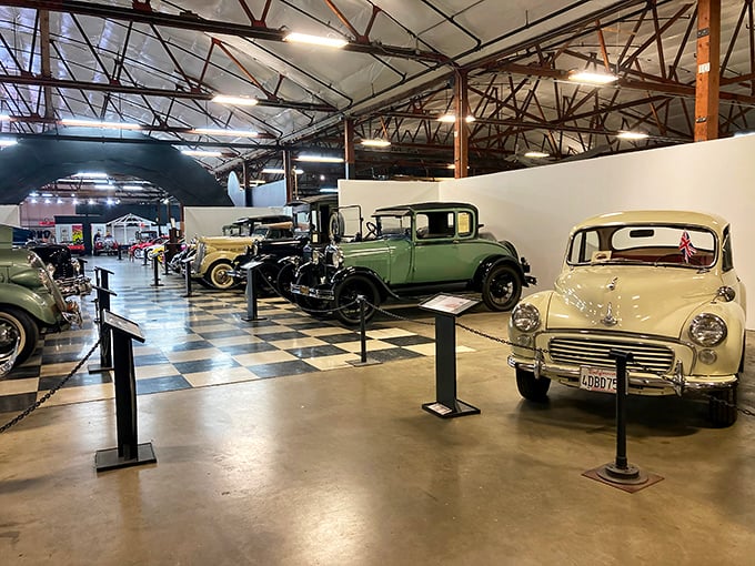 Classic cars line up on a checkerboard floor like mechanical chess pieces. Each one waiting to tell you about the decade it ruled the roads.