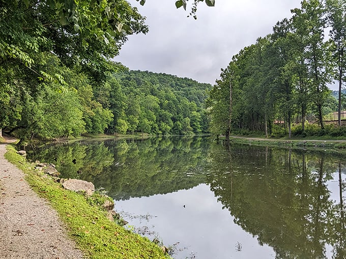 Mirror, mirror on the water! The Clinch River creates perfect reflections that would make even Narcissus do a double-take.
