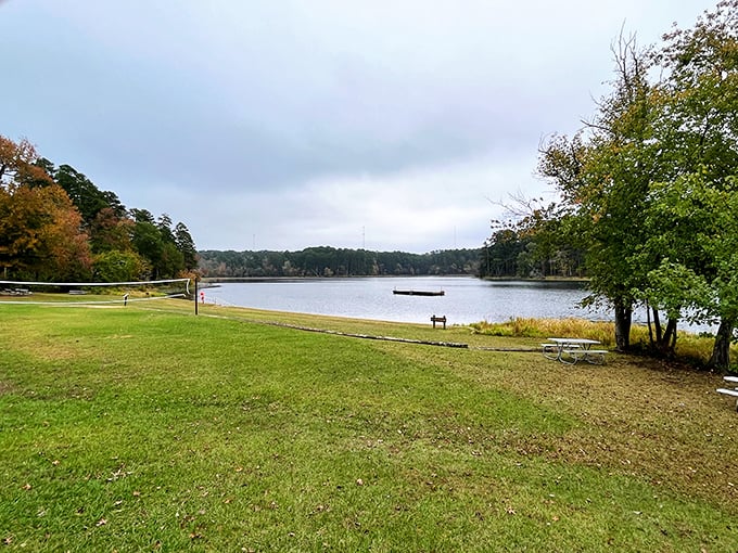 Autumn's paintbrush transforms Daingerfield State Park into nature's gallery. This serene lake view makes you want to cancel your Netflix subscription.