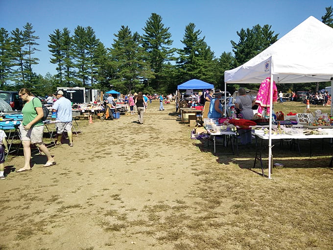 Summer treasure hunting at its finest! Davisville's outdoor market creates aisles of possibility under New Hampshire's blue skies.