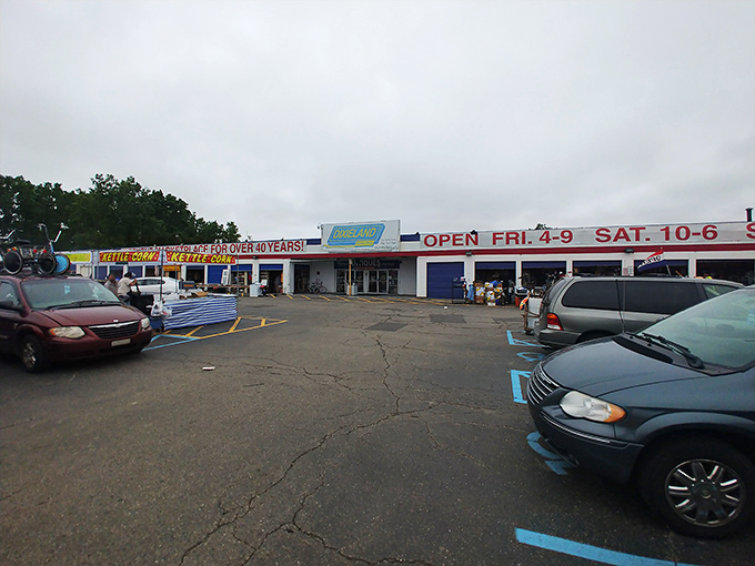 Dixieland Flea Market: Rain or shine, the hunt for vintage gold continues here. Those colorful awnings hide decades of American nostalgia.