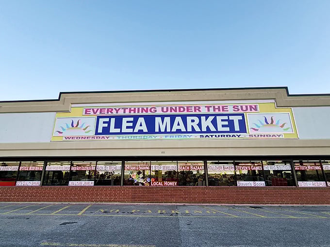 "Everything Under the Sun" isn't just a name&mdash;it's a promise kept in neon letters and endless aisles of curiosities.