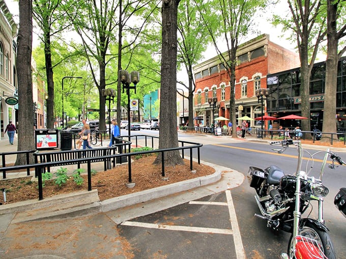Greenville's tree-lined streets invite you to wander without emptying your wallet. Pure magic on a budget!
