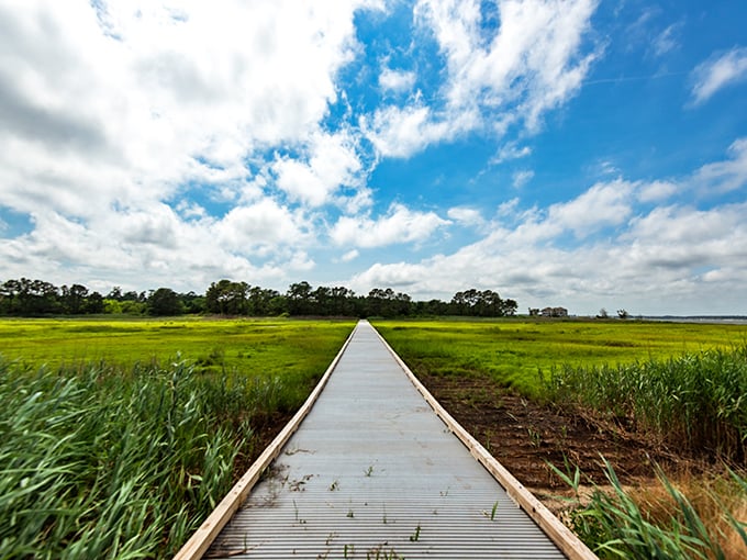 This boardwalk stretches through marshland like Moses parting the sea&mdash;except with more herons and fewer plagues.