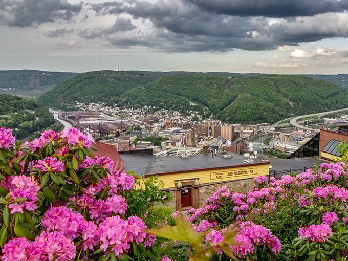 Johnstown's hillside view could make a postcard jealous, with those pink rhododendrons stealing the show every spring.