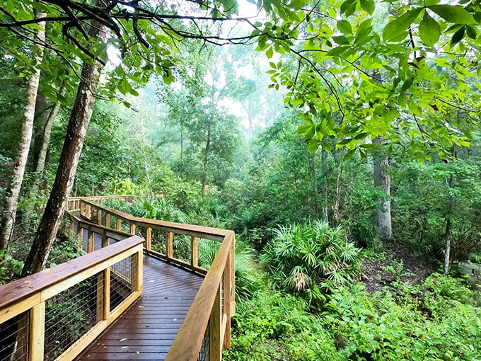 Wooden walkways that whisper stories through the forest. Mike Roess Gold Head Branch's trails are therapy for the soul.