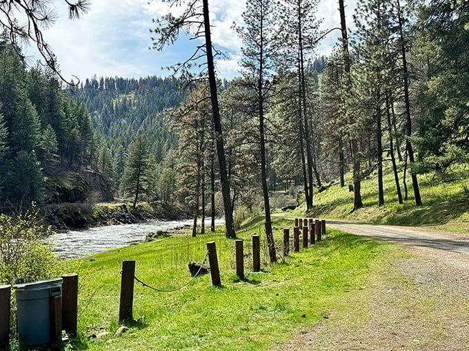 Two rivers converge here, creating fishing conditions that would make Hemingway pack his bags immediately.