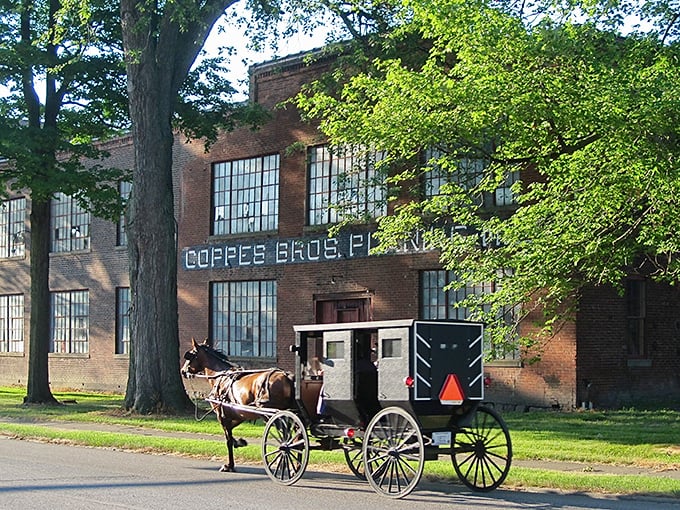 The old Coffee Bros. building stands as a brick-and-mortar time capsule while modern life clip-clops by.