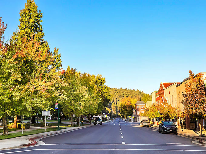 Quincy's tree-lined main street glows with autumn colors, proving that Mother Nature decorates better than any designer.