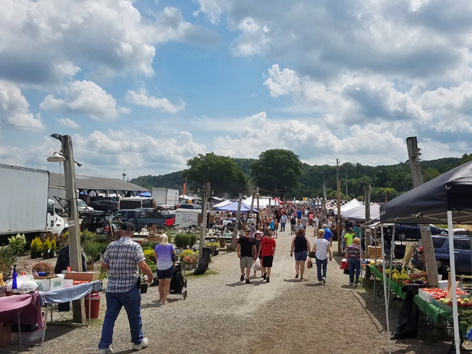 At Rogers Community Auction, paths between vendors create a small village of possibilities. Sunshine, fresh air, and the thrill of the unexpected find!