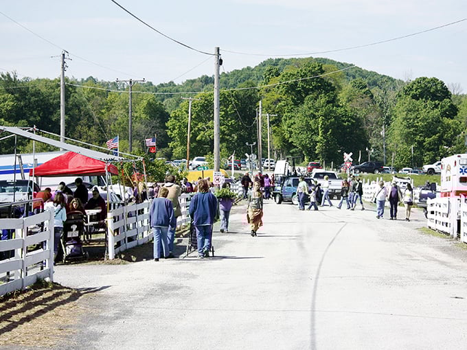 Sunshine, fresh air, and endless rows of potential treasures&mdash;Rogers Flea Market is Ohio's outdoor shopping paradise.